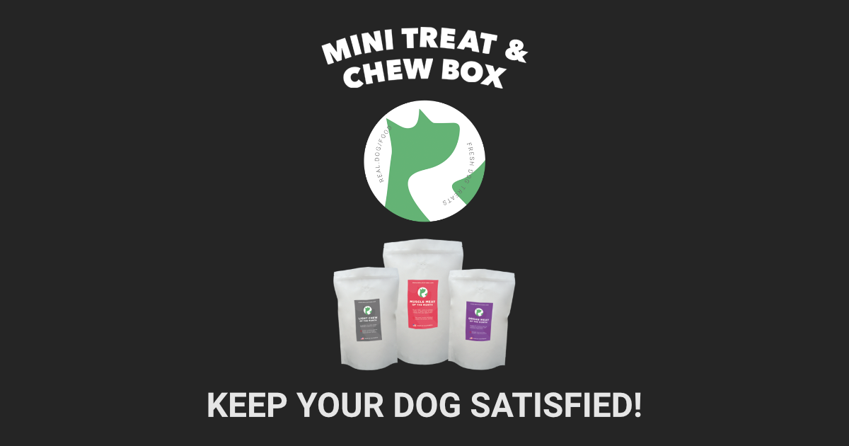Real Dog Mini Box